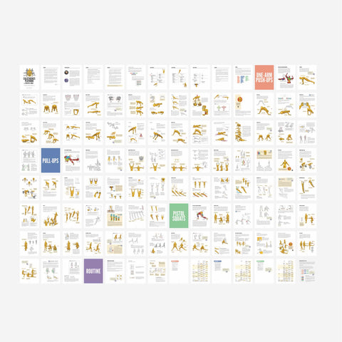 Calisthenics Playbook for Push Pull Squat (Digital book) – Gravgear MY