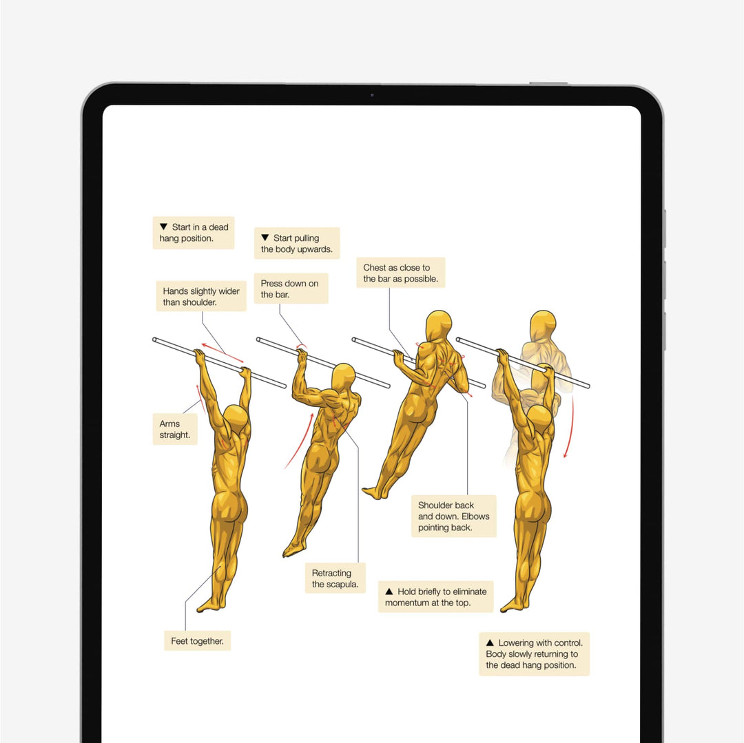 Calisthenics Playbook for Push Pull Squat (Digital book) – Gravgear MY