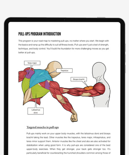 Calisthenics Playbook for Push Pull Squat (Digital book) – Gravgear MY